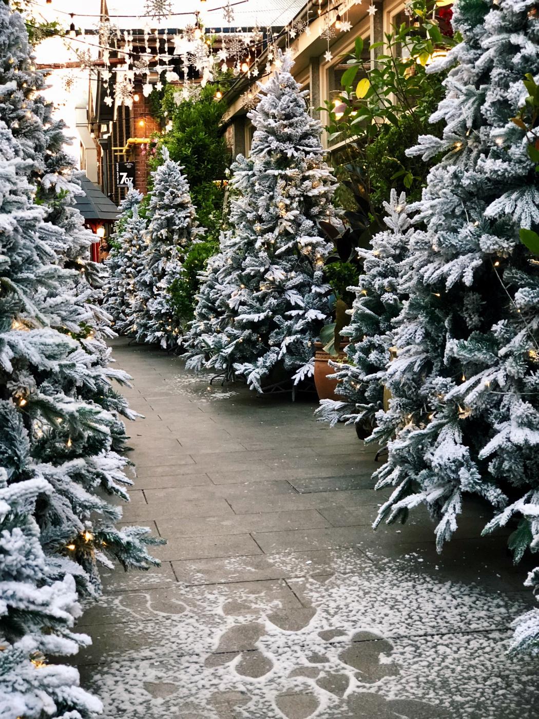 Heads up Sydney, The Grounds has been transformed into a Christmas ...