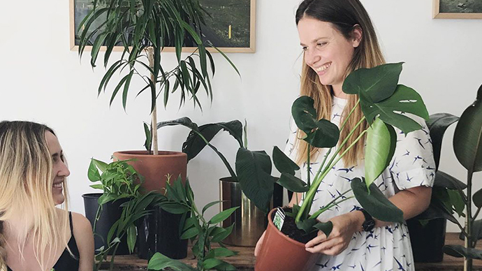 Bizarre Trick To Keep Your Plants Alive And Thriving